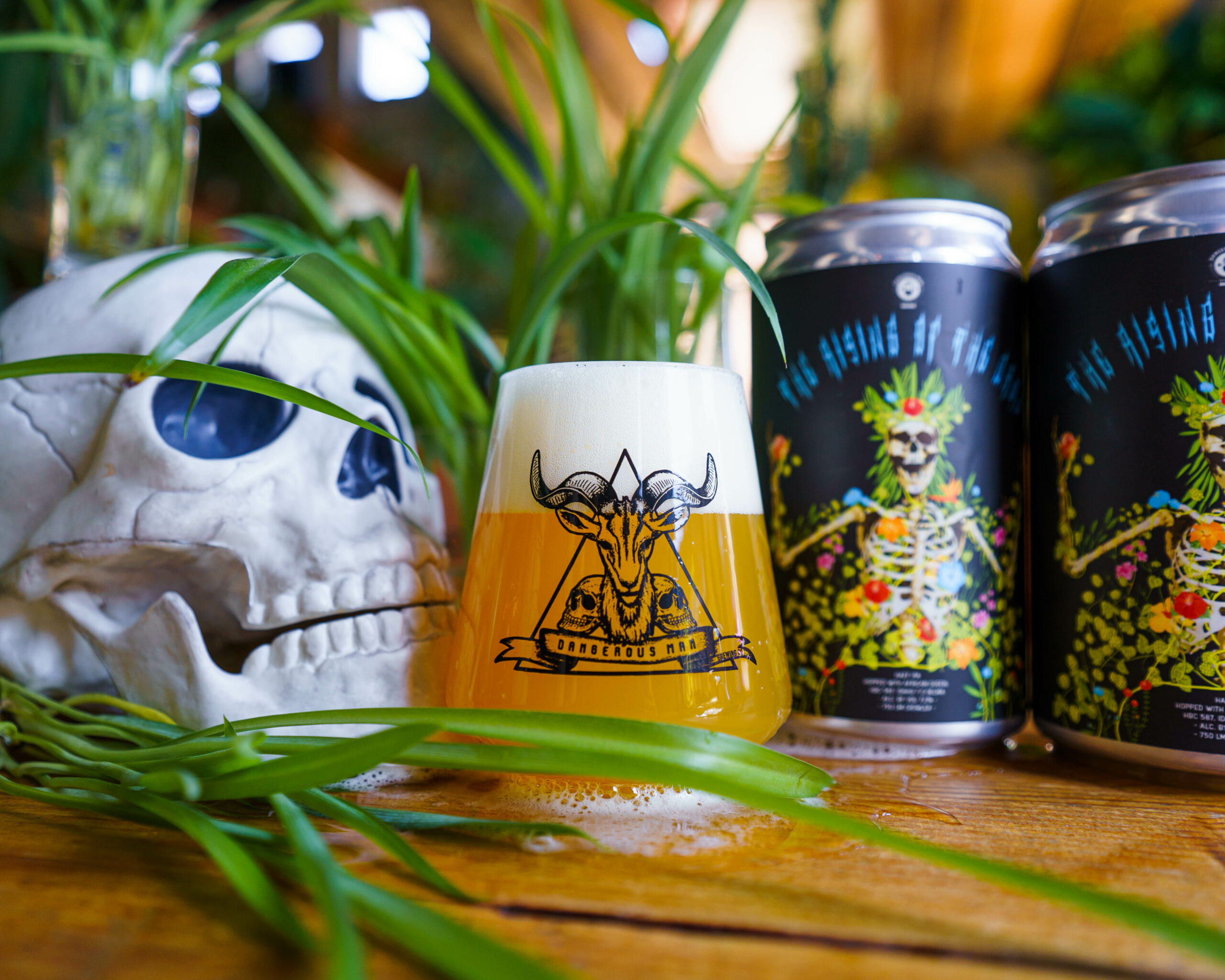 Danger Zone Dame Fruited Brett IPA Collab w/ Claire Stern & Todd Haug ...